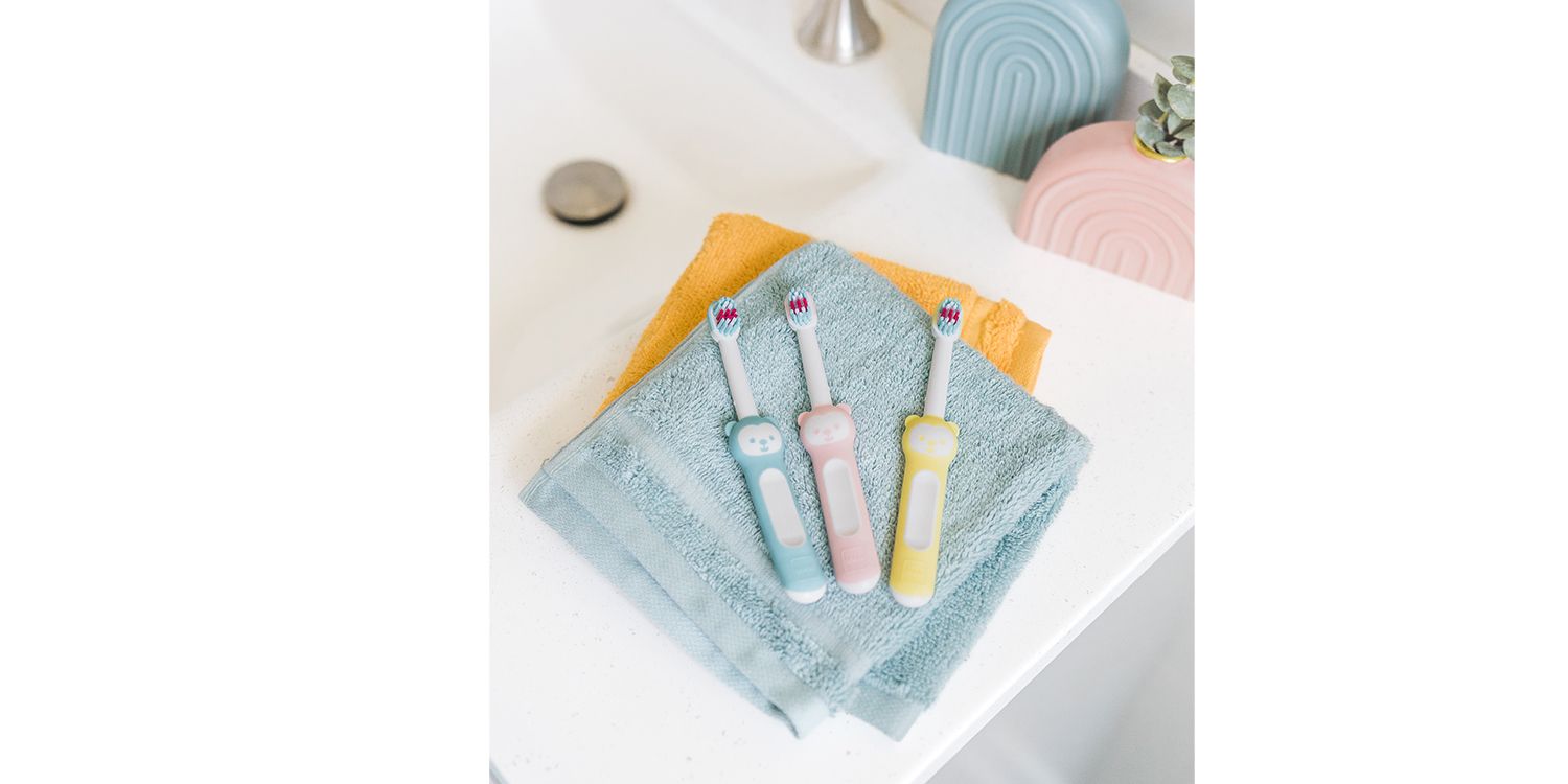 Learn to Brush Set