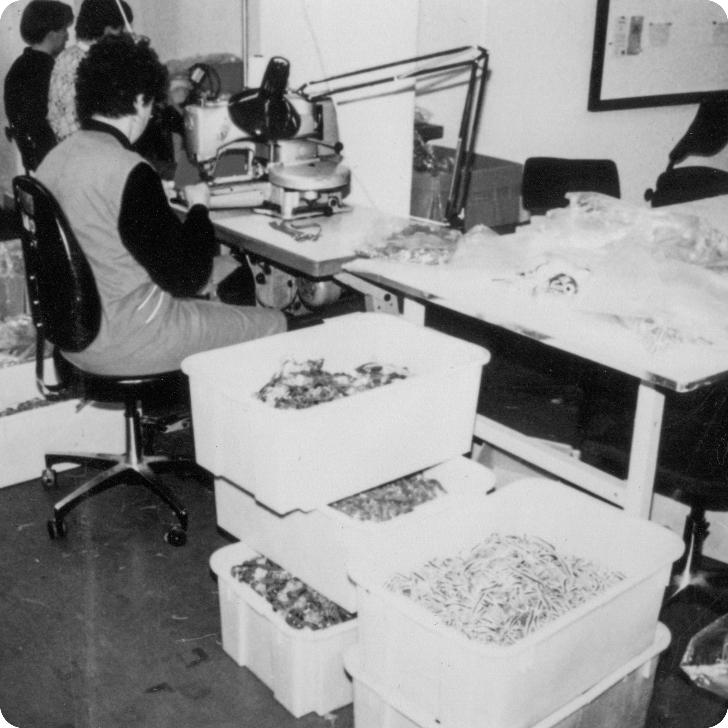 Interview Peter Röhrig